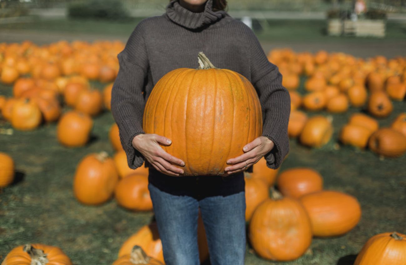 2025 Philly Fall & Harvest Festivals - Philadelphia Family Magazine