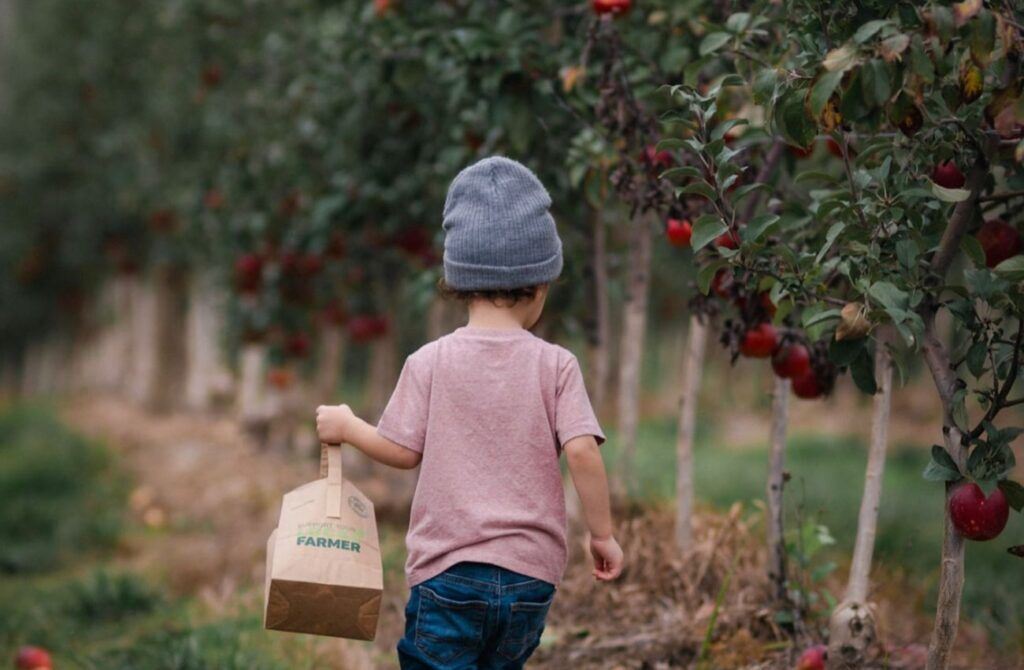 The Best Places to Pick Apples Near Philadelphia for Families ...