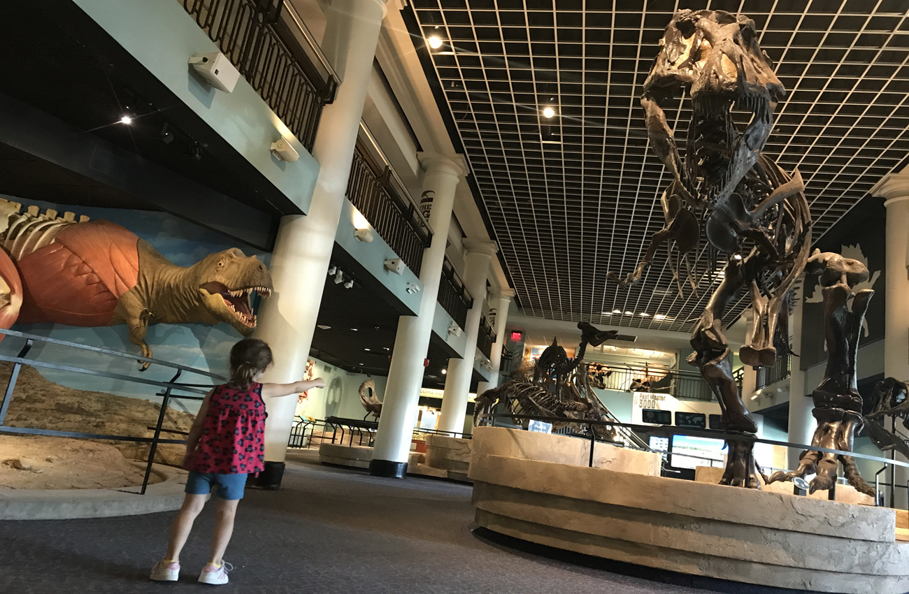 Score Free Admission to these Philly Museums on Saturday, September 21 ...