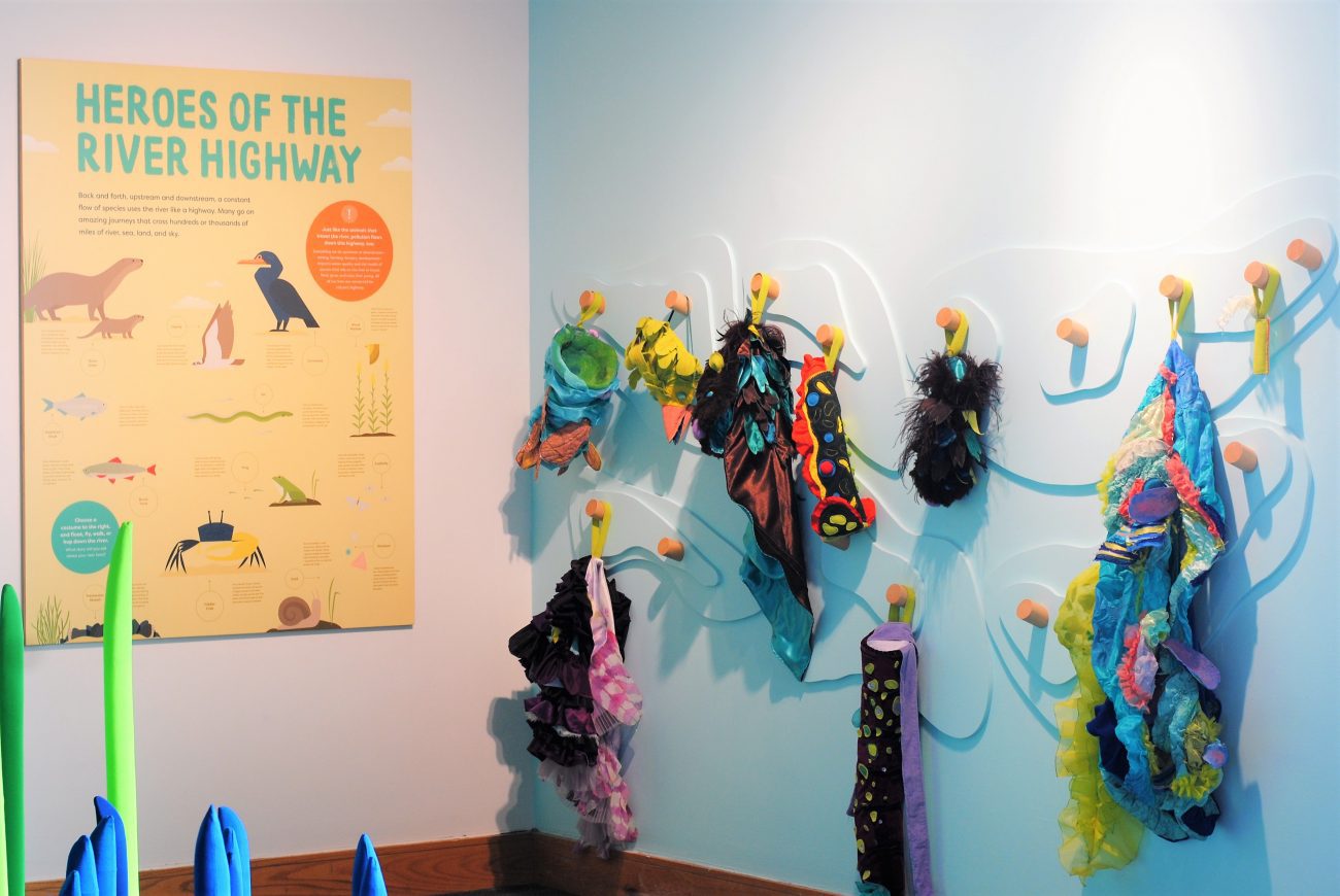 New ‘River Alive!’ Exhibit to Open at Independence Seaport Museum