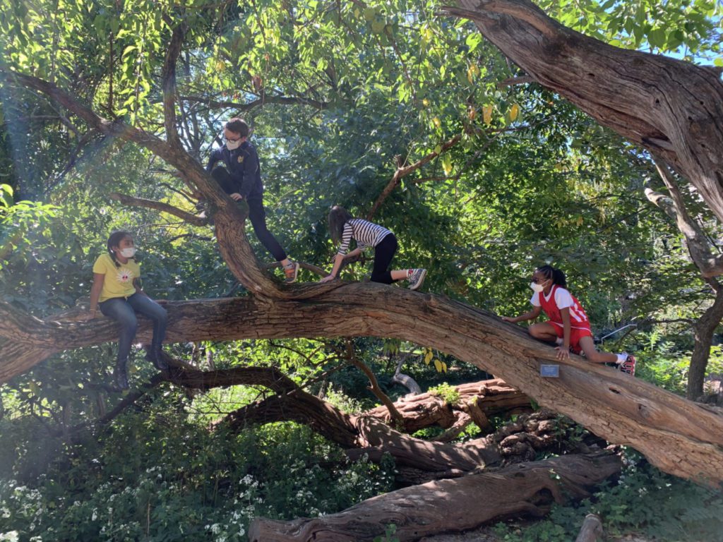 Wonderspaces Brings Interactive Art, Massive Visuals, and Deep ...