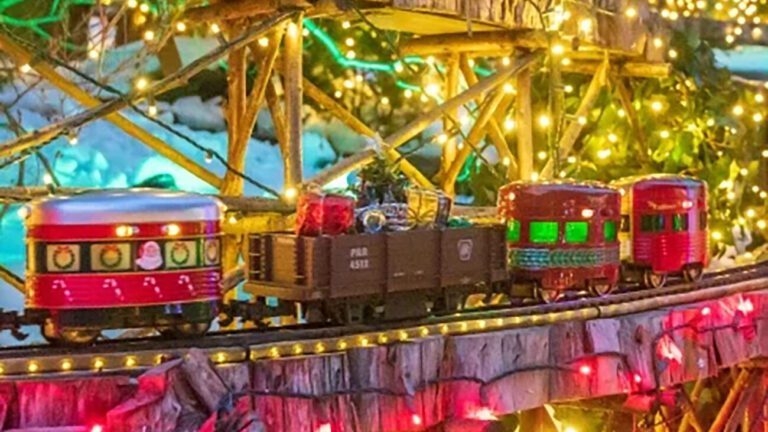 Philadelphia's Top Holiday Light Shows and Magical Displays ...