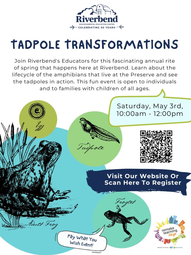 Tadpole Transformations - Philadelphia Family Magazine