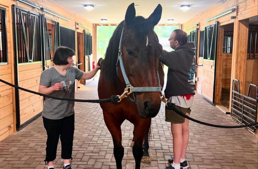 Horses and Health: Equine Therapy in Philadelphia - Philadelphia Family ...
